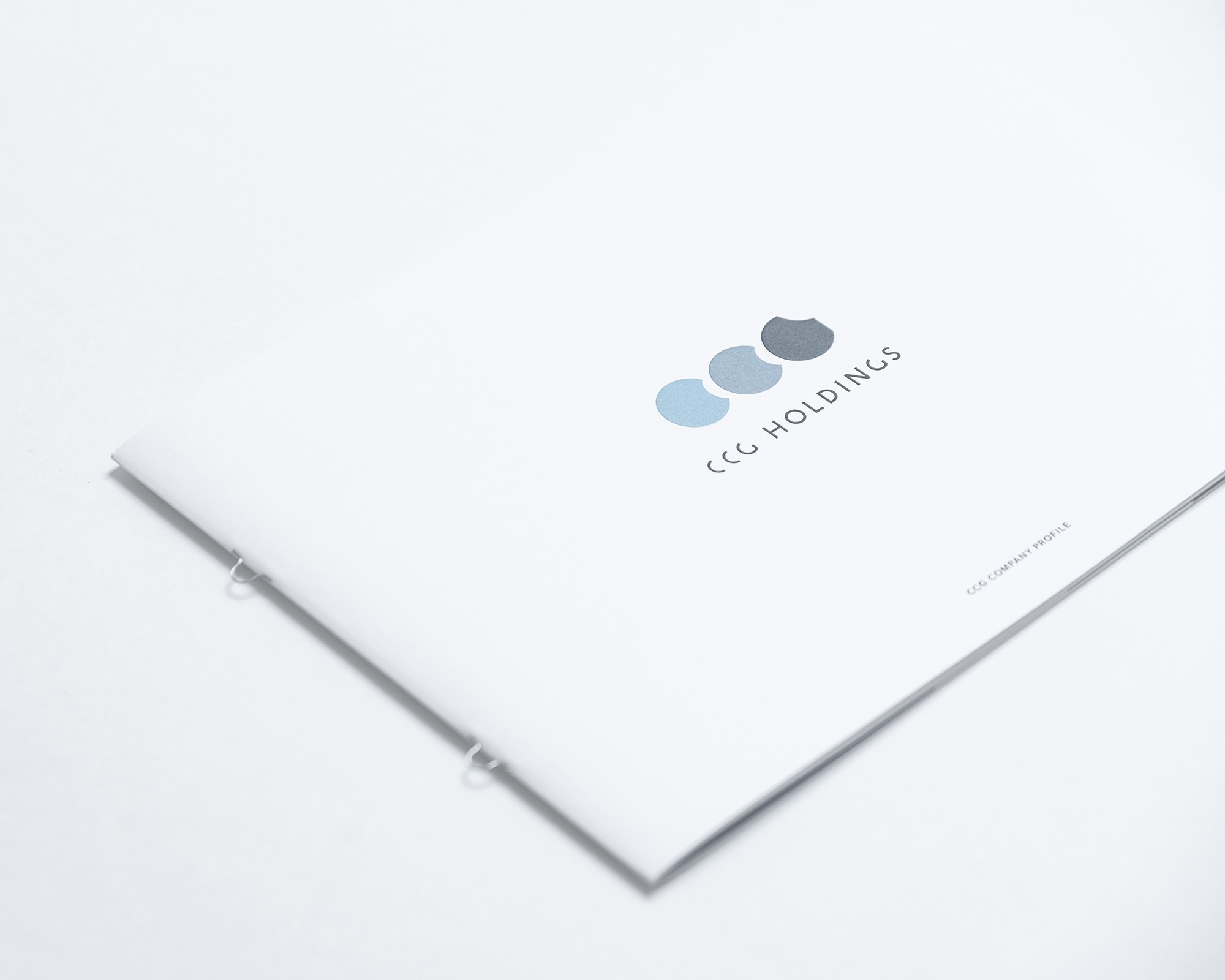 CCG HOLDINGS - PNTR™